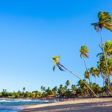 Tata Tour – O prazer de viajar em quem pode confiar!